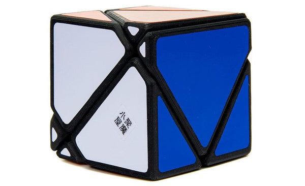 Lee Dual Fisher 2x2 Cube | SpeedCubeShop